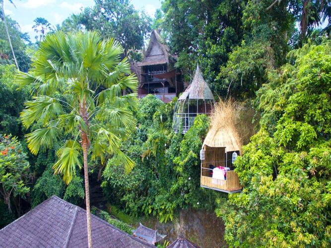 Jungle Retreat By Kupu Kupu Barong - Ubud
