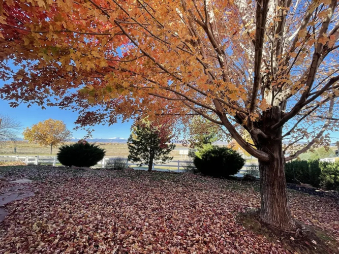 Spacious Home W/ Fun Amenities | Lake & Mtn Views - Loveland, CO