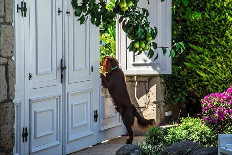 Art Alacati - Alaçatı