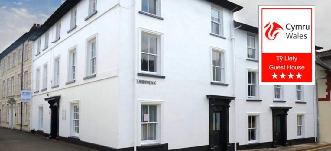 Ty Helyg Guest House - Brecon