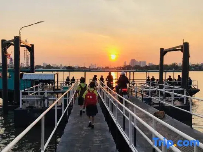 The Bird Nest Homestay& Coffee Shop - Phra Khanong