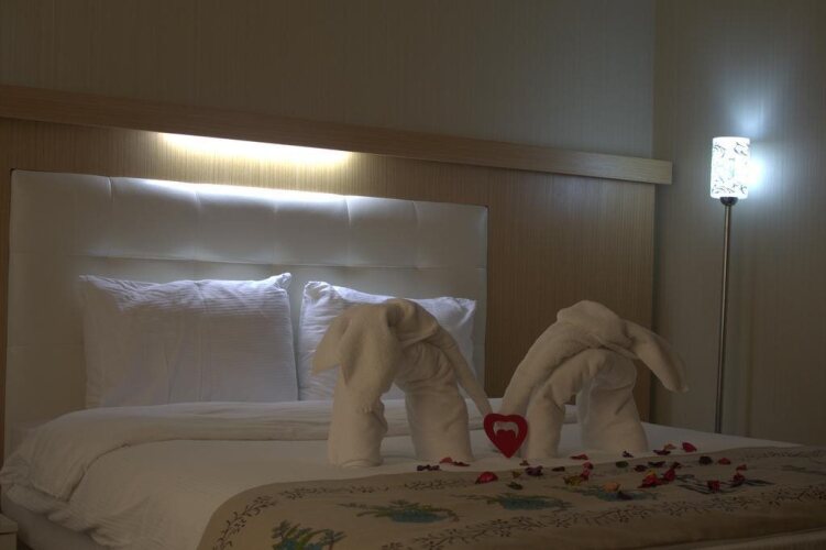 Grand Alin Hotel - Turhal