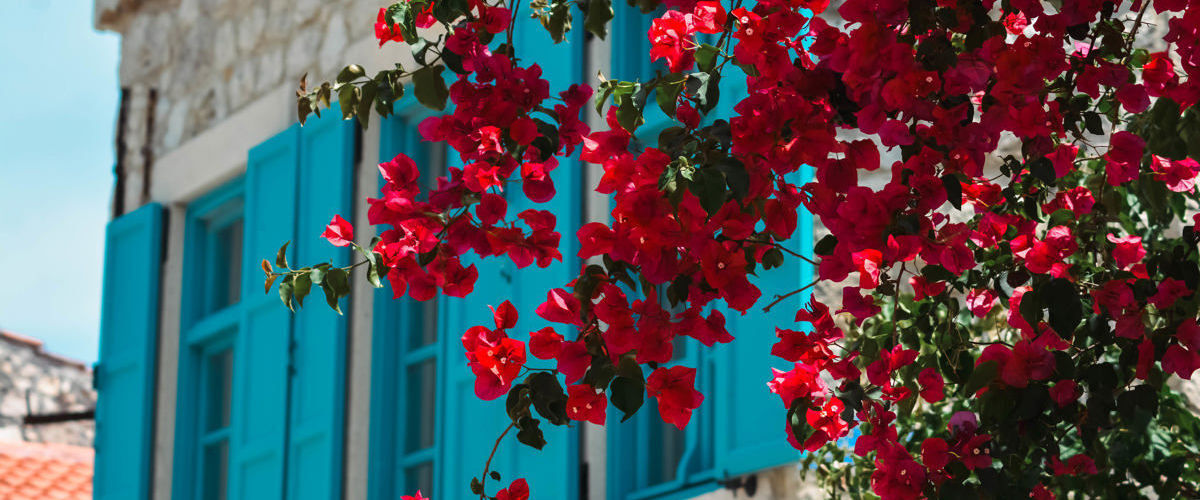 Casa Alegre Alaçatı - Alaçatı