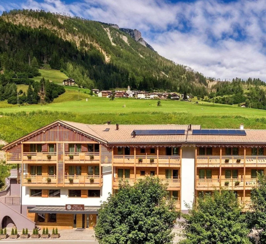 Chalet Aster - Moena