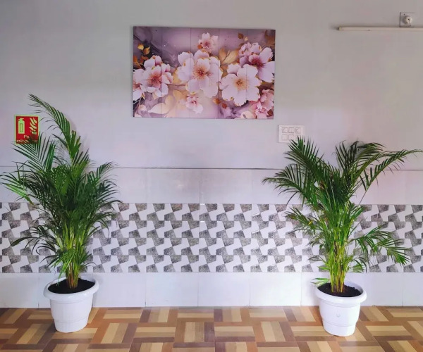 The Nook - Bhubaneswar