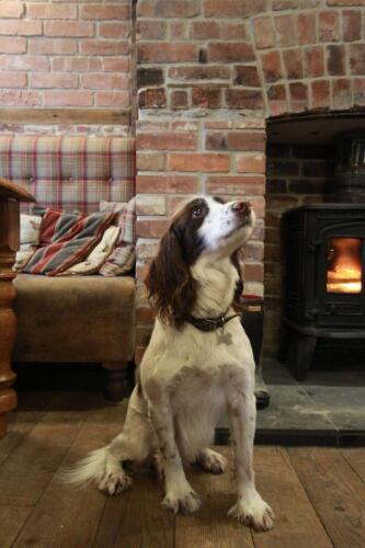 The Moorland Hotel, Haytor, Devon - Devon