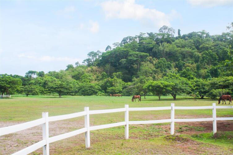 Fields Plaza Suites - Mabalacat