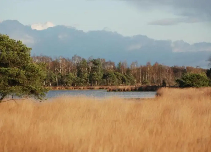 Chalet By Park Pond In The Netherlands - Eindhoven