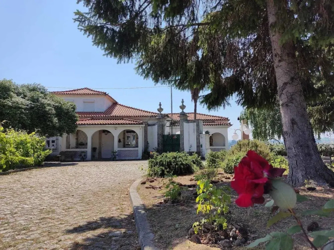 Casa Da Real Companhia - Lamego