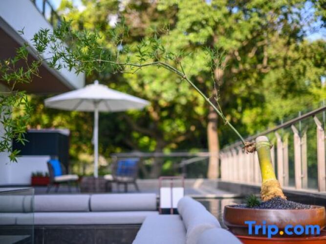 Xinsu 24li Resort - 広州市