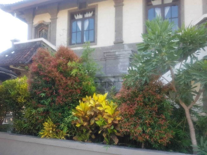Pande Permai Bungalows - Ubud