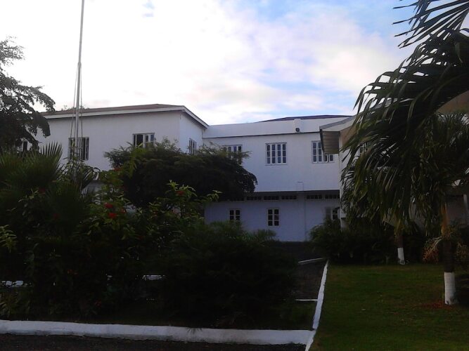 Sea Shell Palms - Caribbean