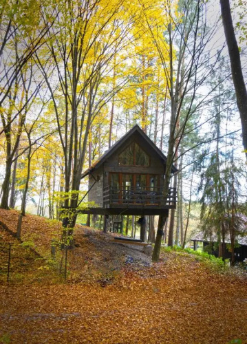 Na Skraju Lasu Domek Na Drzewie & Glamping - Kazimierz Dolny