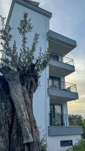 Kent Otel Ayvalık - Ayvalık