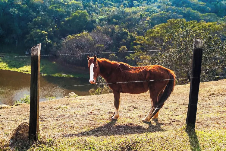 Velinn Hotel Fazenda Estrela Da Serra - Santo Antônio do Pinhal