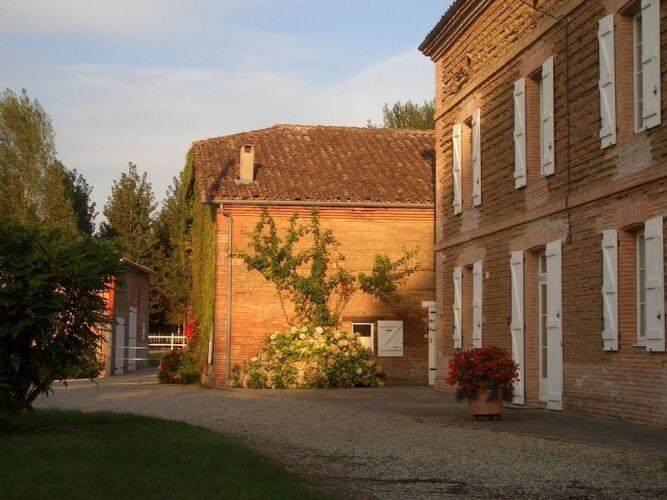 Le Platane - Moissac