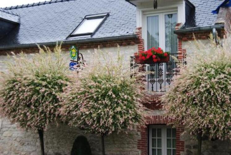 Les Insolites Du Grand Logis - Aisne