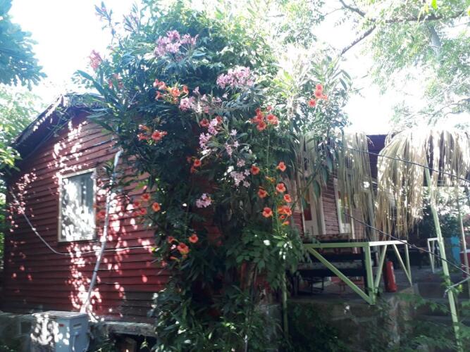 Side Tuana Garden Home - Side