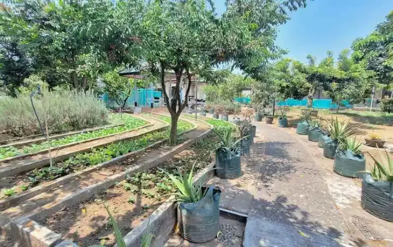 Papa Kana Farm Mitra Reddoorz @ Pacet Mojokerto - Pacet