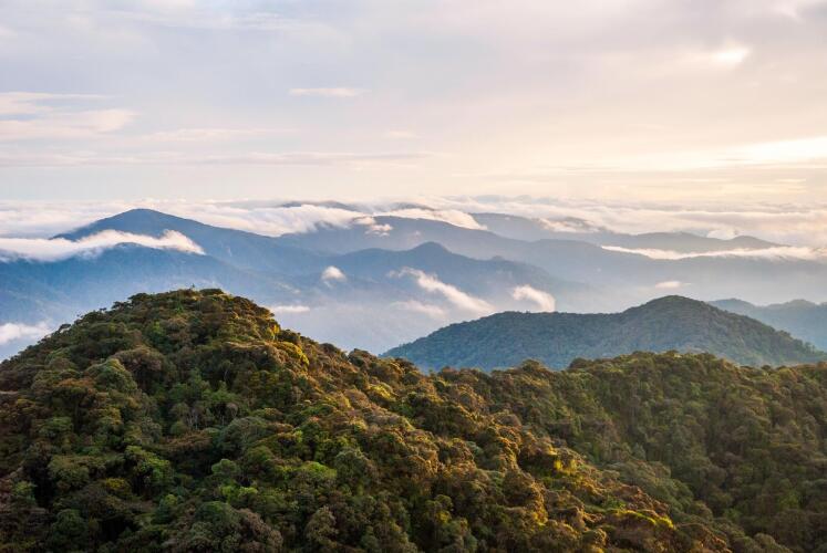 Cameron Highlands Resort - Tanah Rata