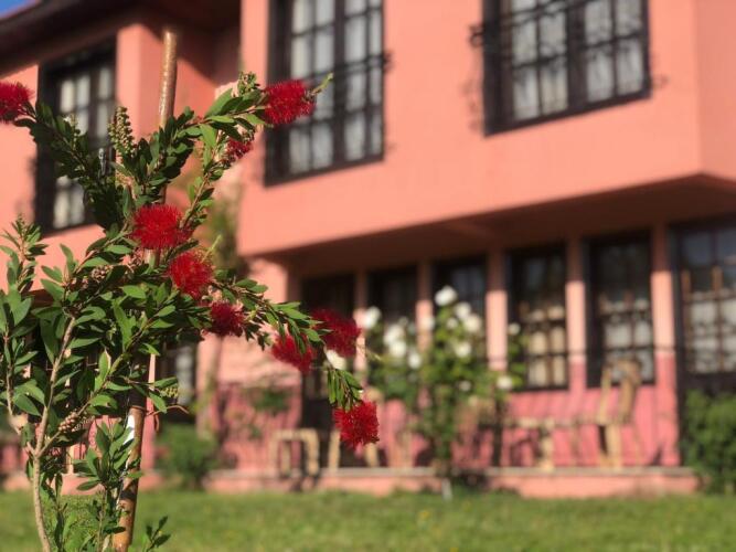 Hotel Palme Dalyan - Ekincik