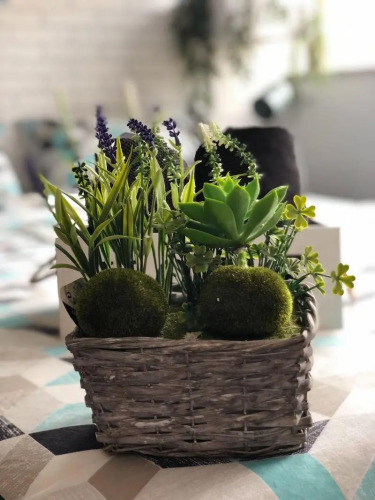 Bunga-love - Adults Only - Tenerife