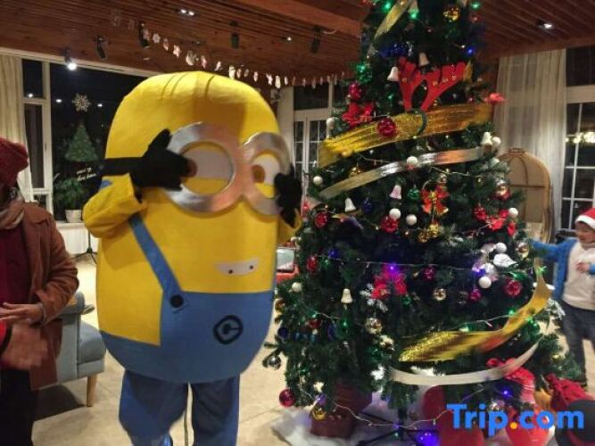 Yzl Seaview Garden Vacation Hotel - 大理市