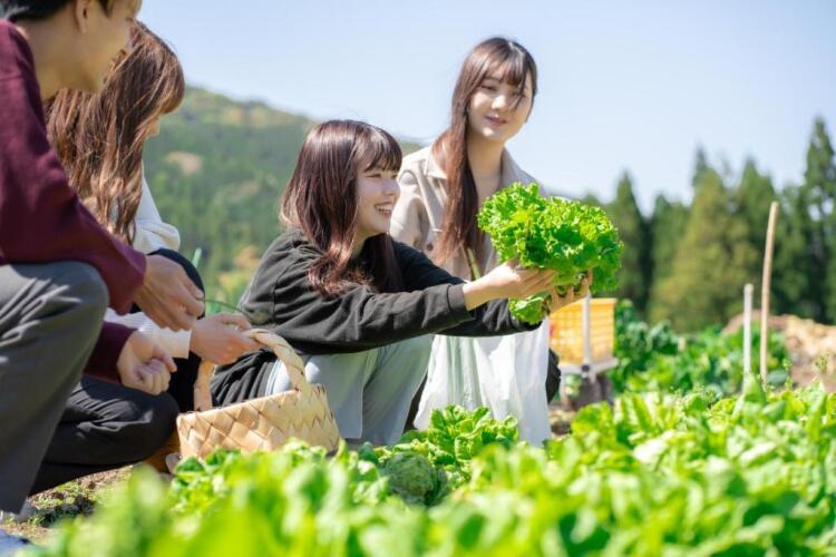 Bunkou Stay Haruhi - 佐賀県