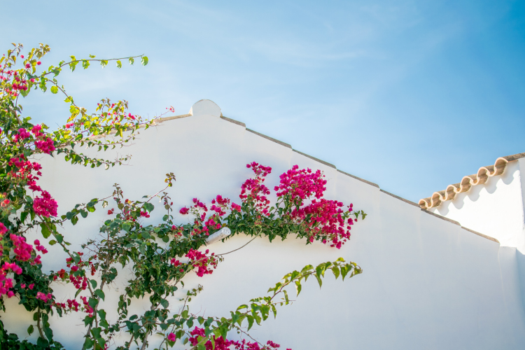 Torralbenc, A Small Luxury Hotel Of The World - Minorca