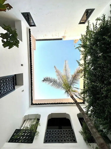 Ptit Habibi - Marrakesch