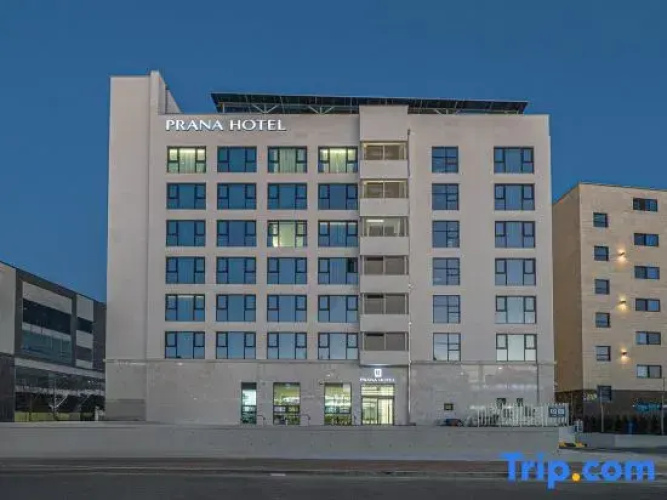 Daegu Hyeonpung Prana Hotel - Daegu