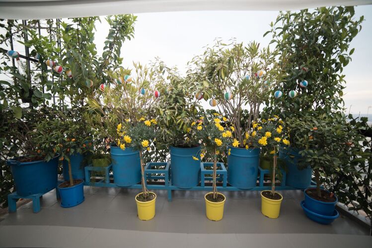 Dandy On The Beach Kallikrateia Chalkidiki - Halkidiki