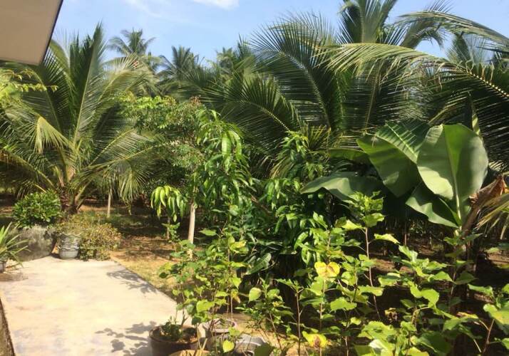 Kelulut Lodge - Muar