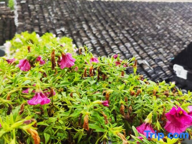 Youqi Boutique Hostel - Suzhou