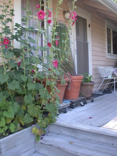 Hollyhock Country House - Sonoma, CA