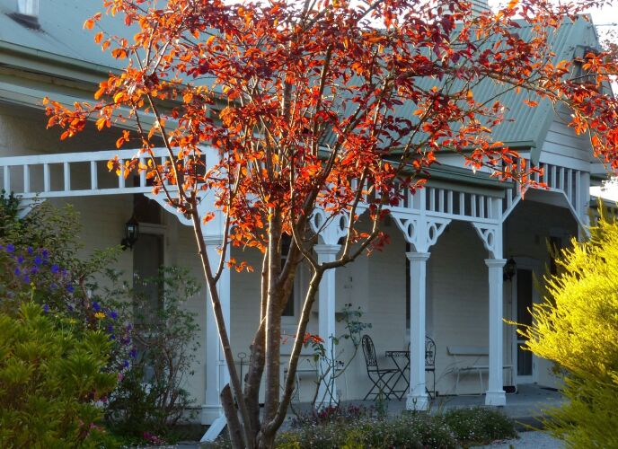 Yarra Gables - Healesville