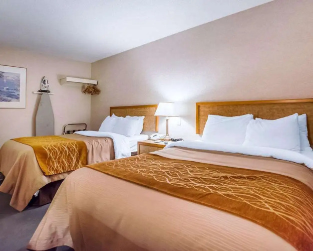 Comfort Inn Saint John - Saint John