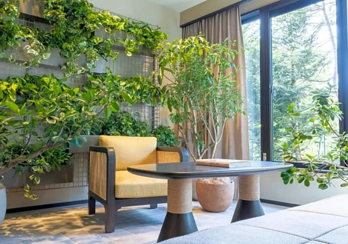 Fufu Karuizawa Wind Of Sunshine - Karuizawa