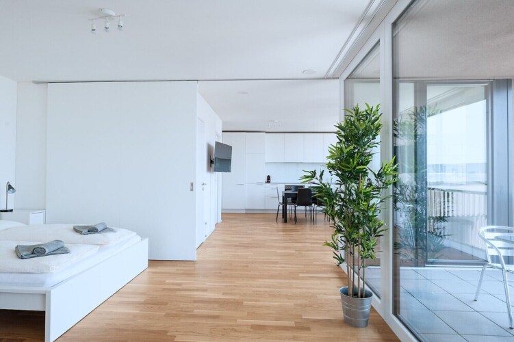 Hitrental Basel Apartments - Basilea