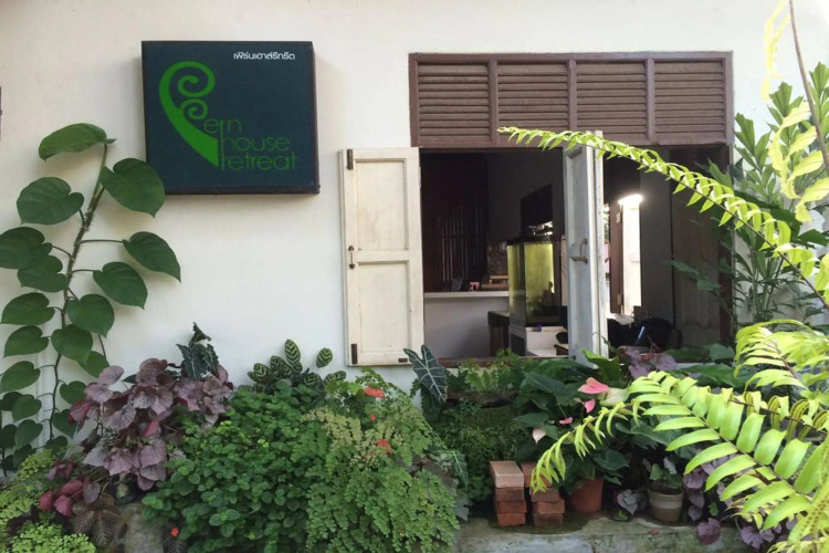 Fern House Retreat - Phuket