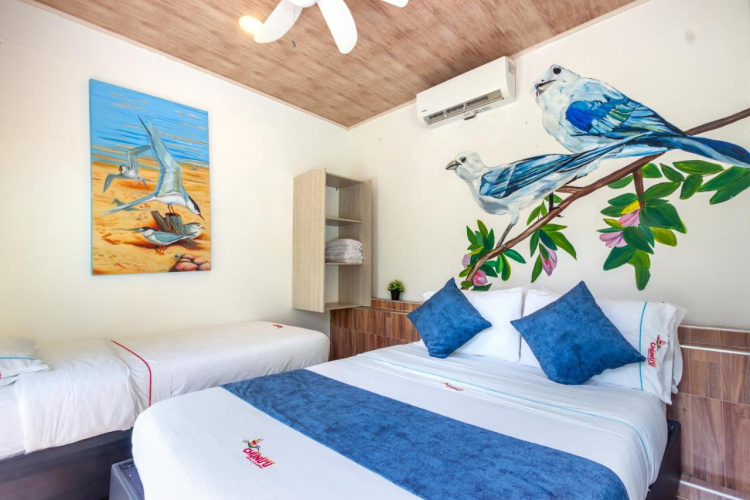 Chunuu Hostal Y Glamping Minca - Minca