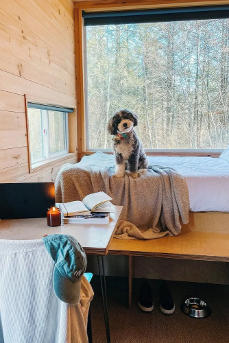 Postcard Cabins Big Bear, Outdoor Collection By Marriott Bonvoy - California