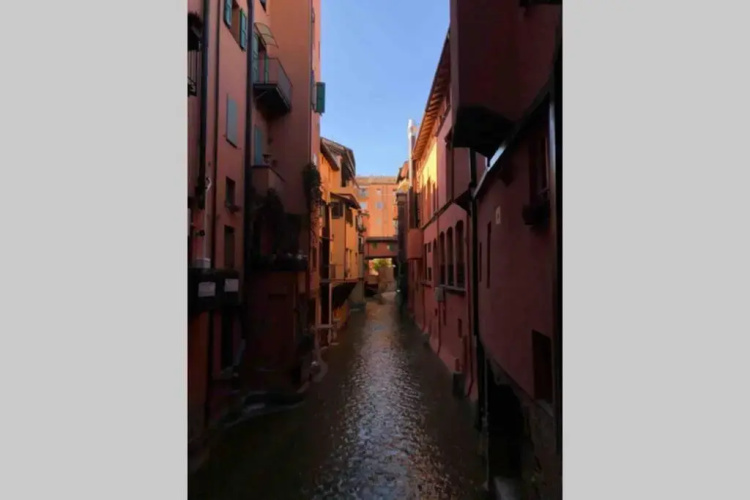 Carachouse - Bologna - Bologna