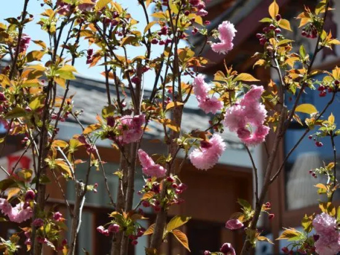 Lijiang Shiningland Resort Hotel（lijiang Old Town） - Lijiang