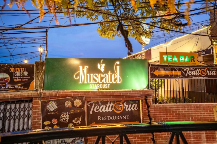 Muscatel Stardust - Chowrasta Mall Road - Darjeeling