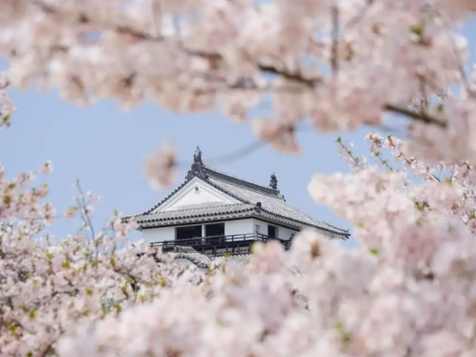 Kkrdogoyuduki - Matsuyama