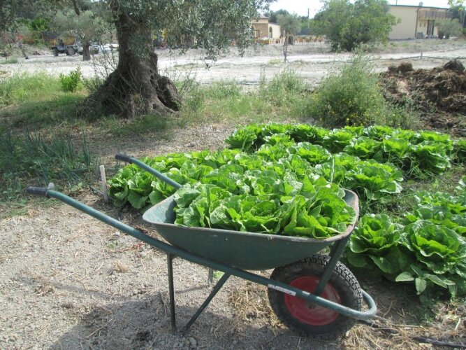 Agriturismo Donna Beatrice - Calabre