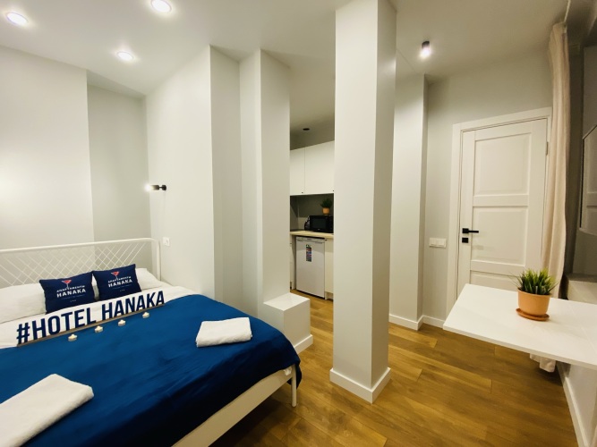 Hanaka Na Avtozavodskoj 17/1 Apartments - Moscow