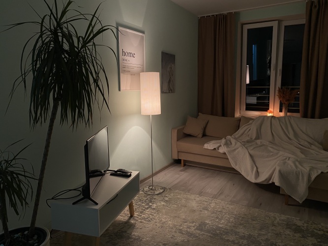 Baltiyskiy Uyut Apartment - Kaliningrad
