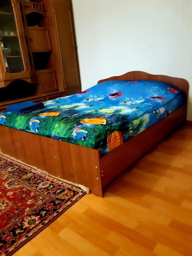 Uyutnaya Vozle Metro Flat - Nizhny Novgorod